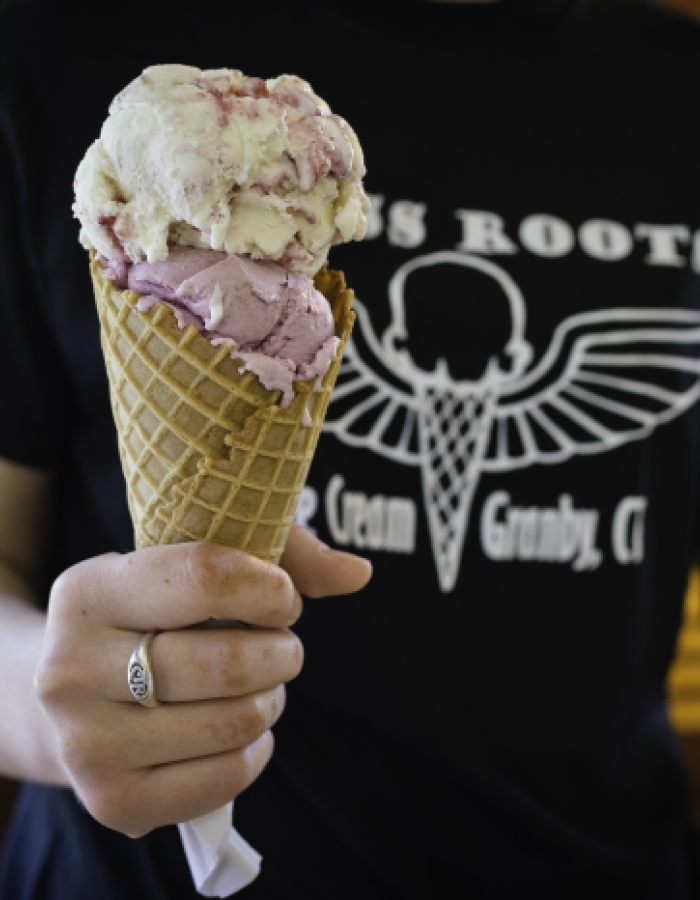 Grassroots ice cream store